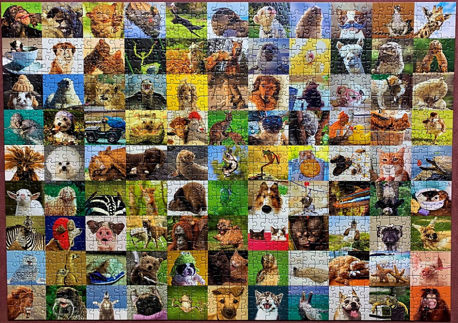 99 Funny Animals – My Jigsaw Journal