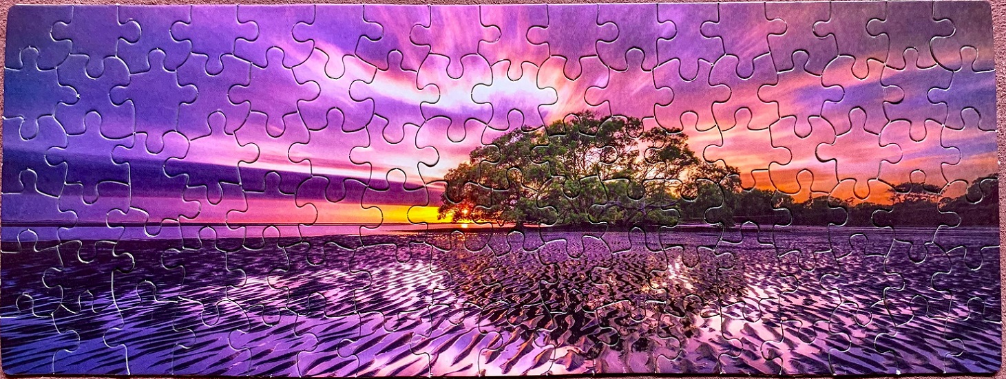 January – My Jigsaw Journal